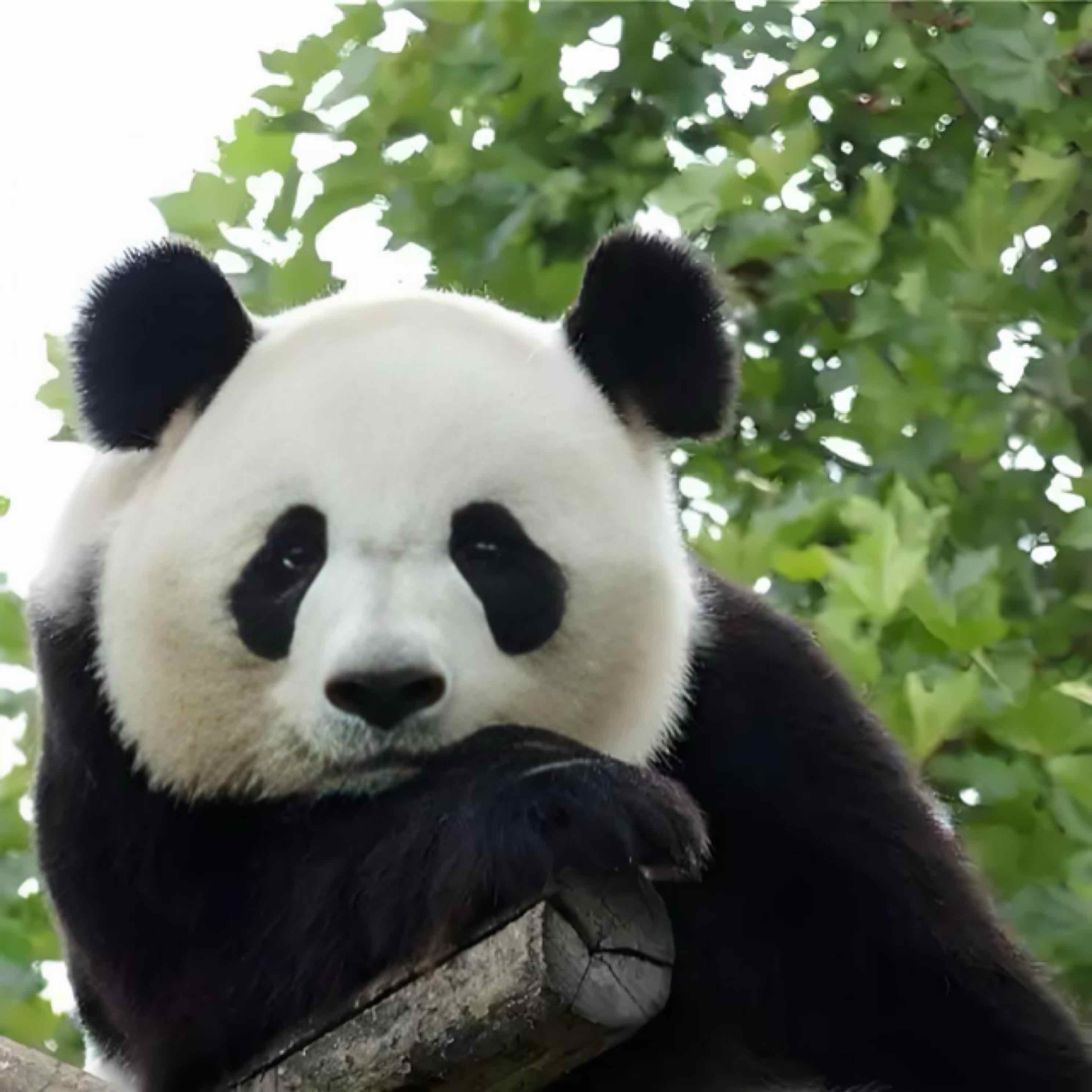 神光之眼最新章节-神光之眼最新章节无弹窗全文阅读-QQ阅读女生网