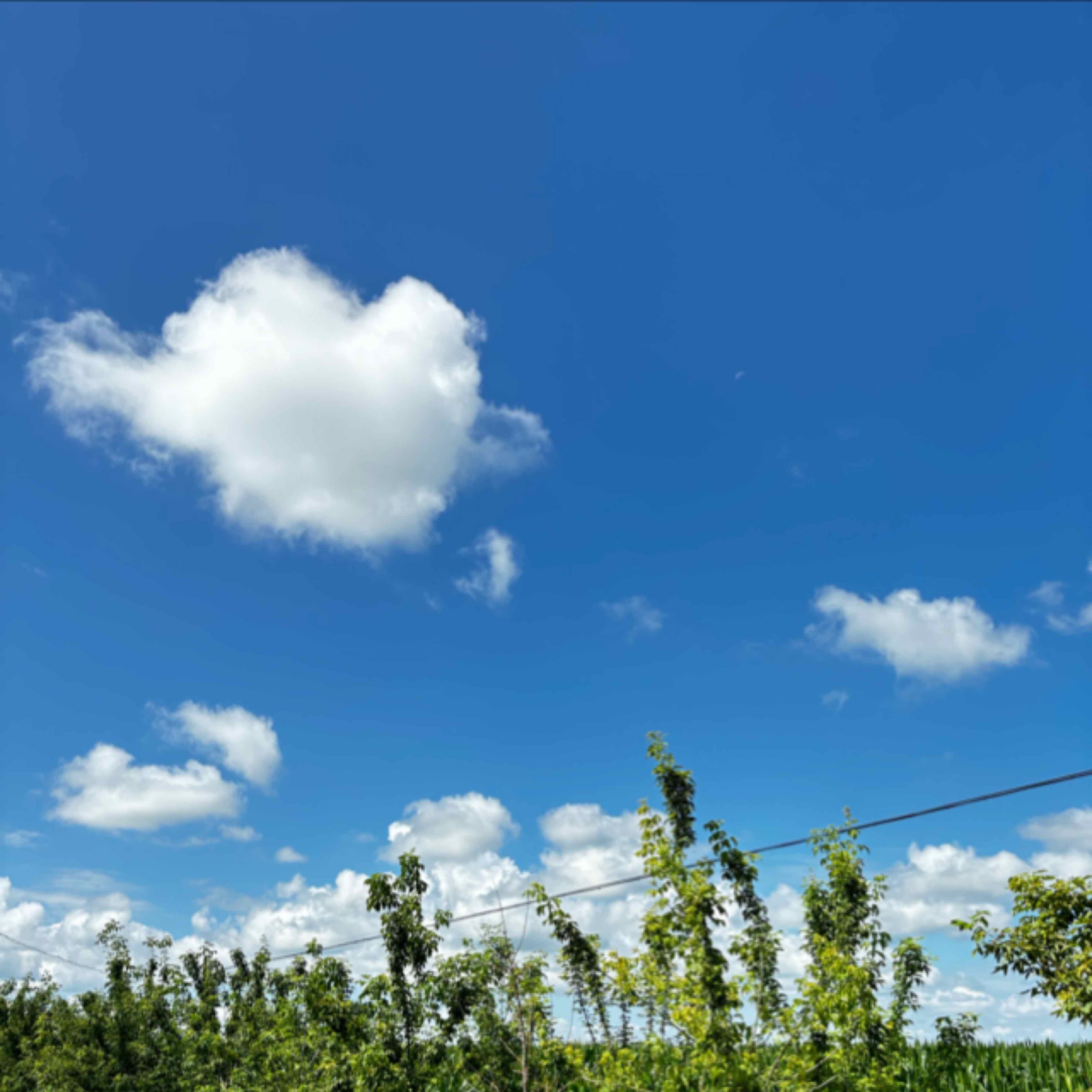 我靠码字，执掌次元法则最新章节全文无弹窗在线阅读-QQ阅读女生青春网